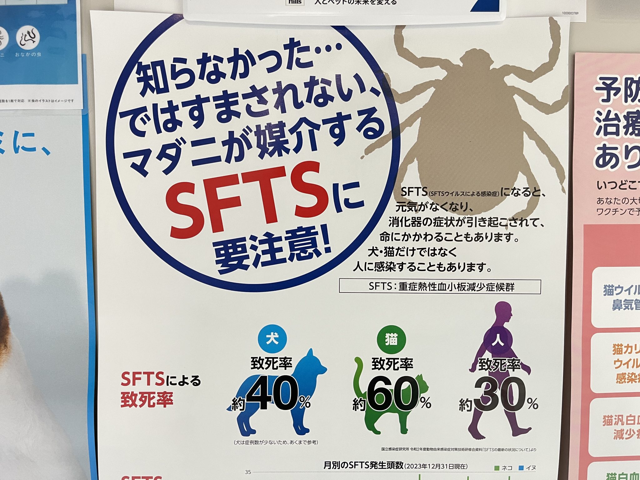 【大切なお知らせ】マダニが媒介するSFTS（重症熱性血小板減少症候群）―ペットから人へ感染のリスクも― | 神西ペットクリニック